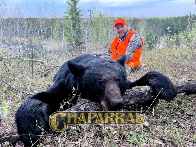 Spring Saskatchewan Black Bear Hunts | The Bear of a Lifetime