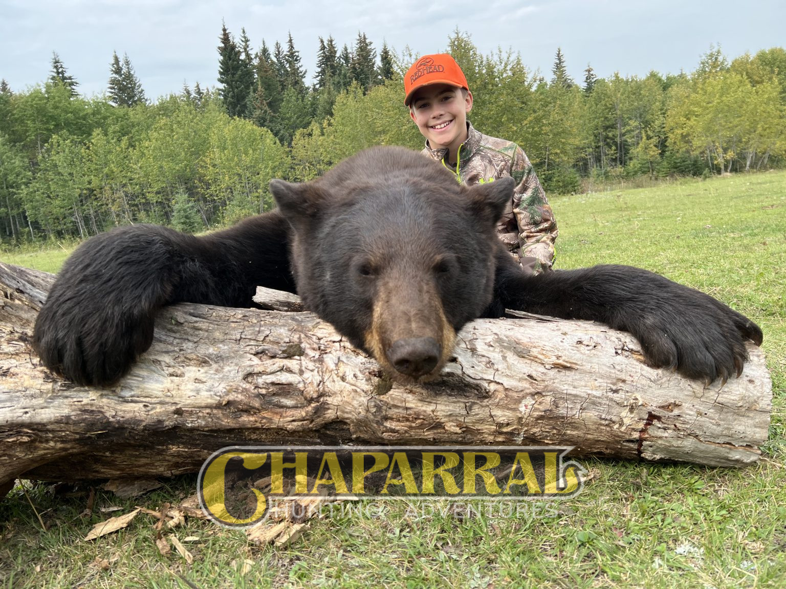 Spring Saskatchewan Black Bear Hunts | The Bear of a Lifetime