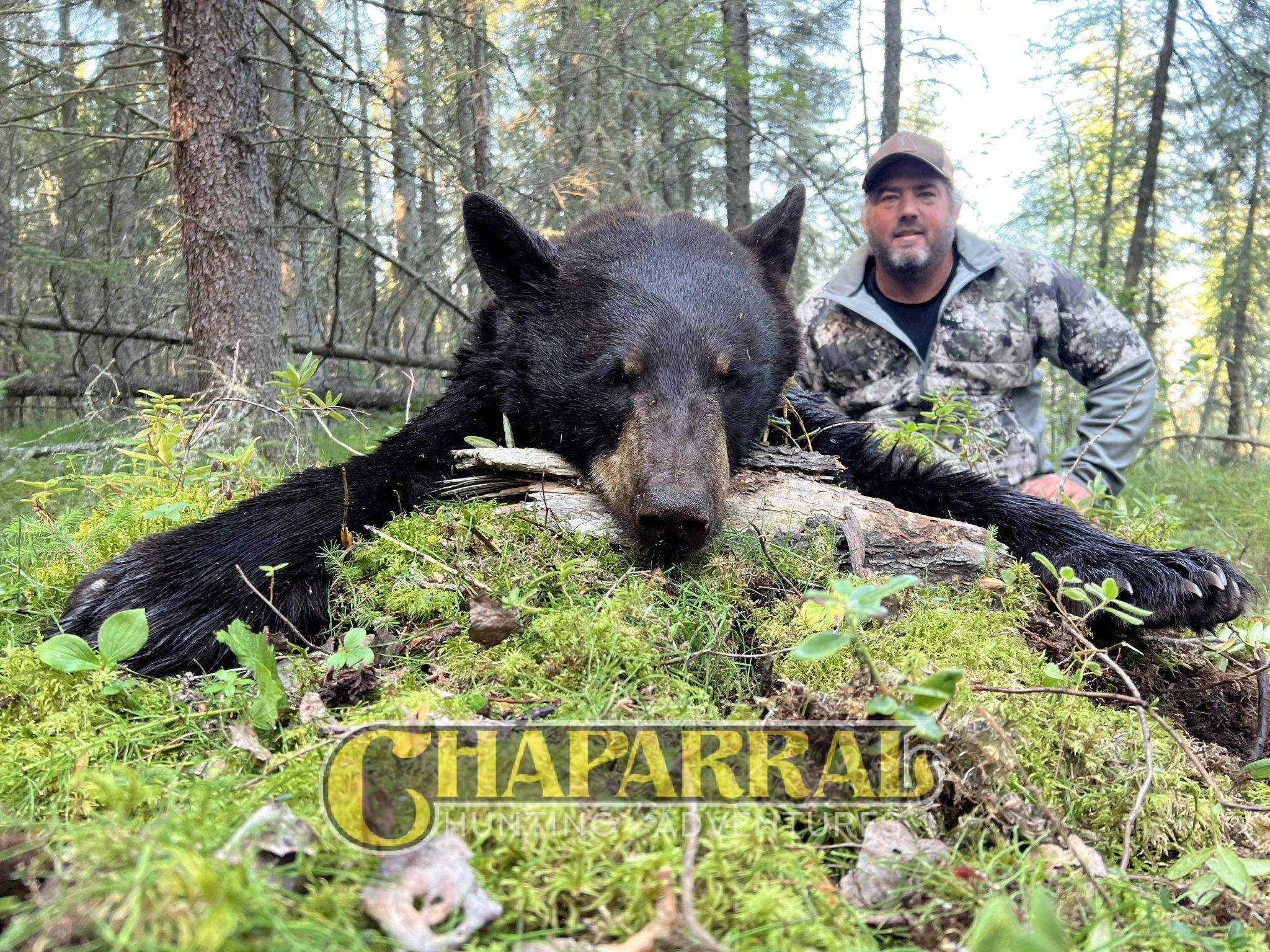 Book Your Canada Whitetail Hunts and Black Bear Hunts
