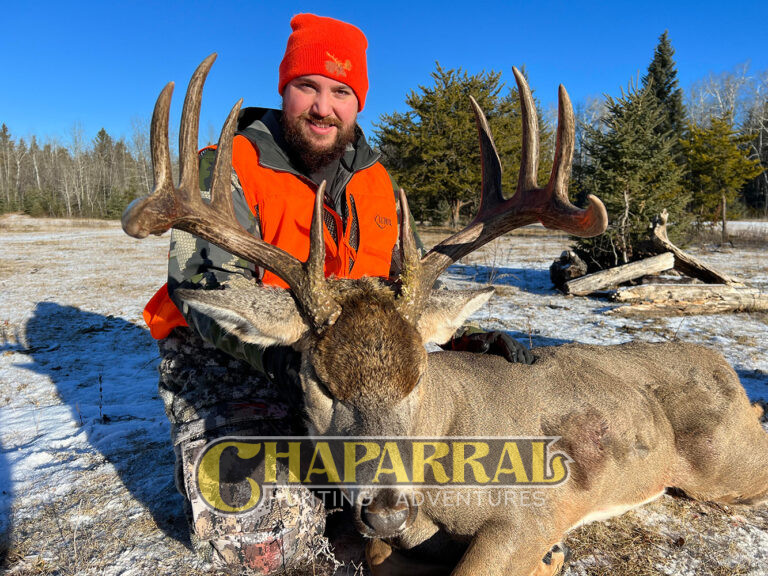 Book Your Canada Whitetail Hunts and Black Bear Hunts